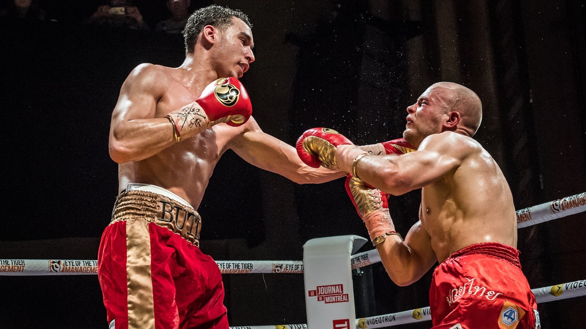 Brève: Steven Butler le 23 Juin à Montreal. - BoxeNet.fr